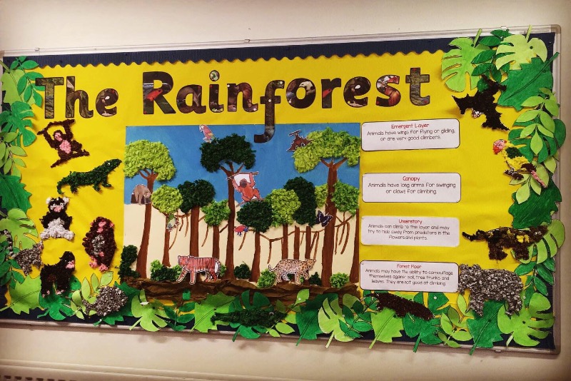 Our topic ‘The Rainforest’ 🐅 🐘 🐒